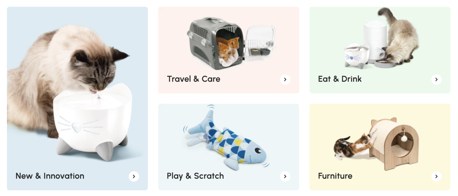 Sell Pet Products Online With a 'Best in Show' Website | Shopify Agency