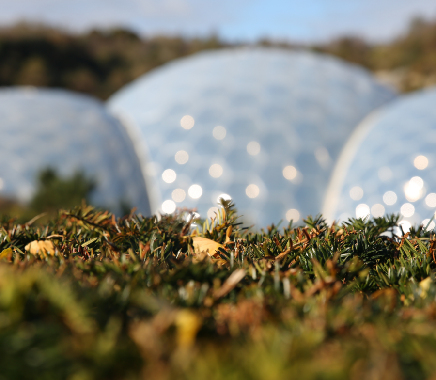 Eden Project | Portfolio | Shopify Plus Agency